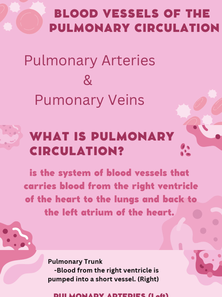 The Cardiovascular System Blood Vessels | PDF | Aorta | Blood Pressure
