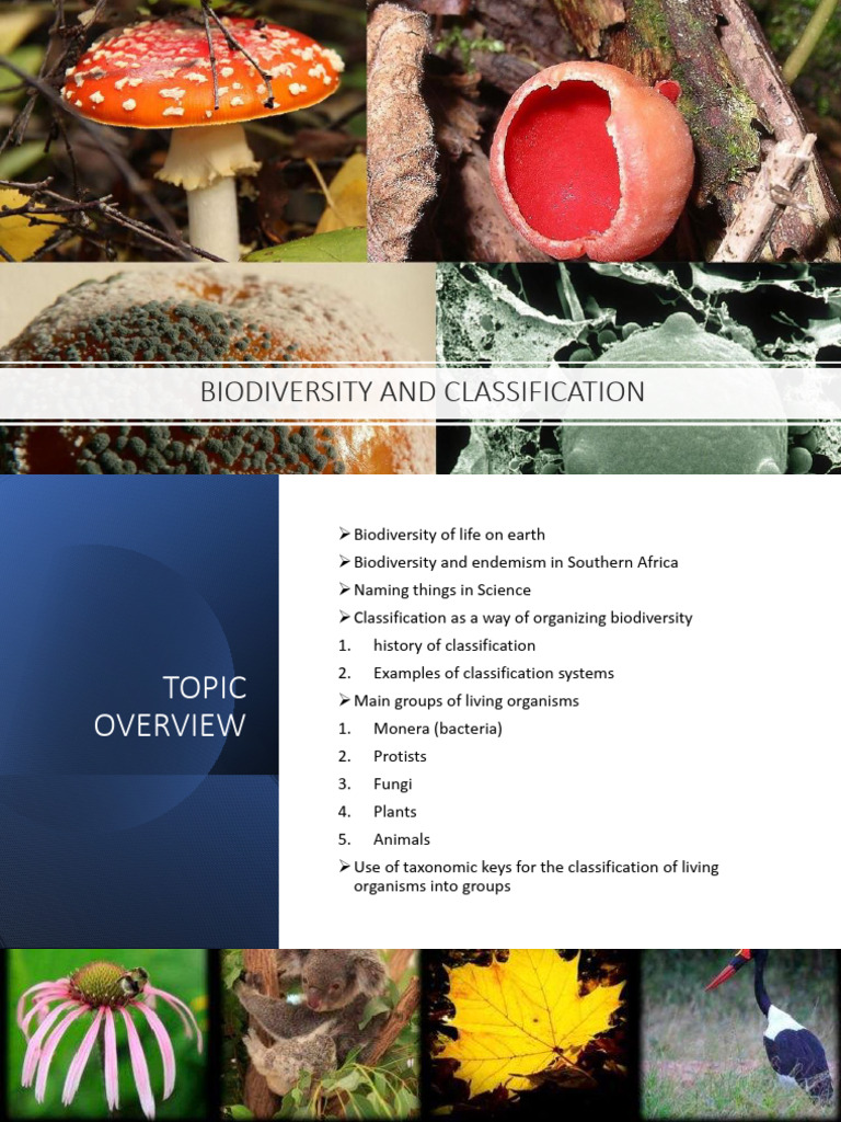 BIODIVERSITY AND CLASSIFICATION POWERPOINT | PDF | Fungus | Bacteria