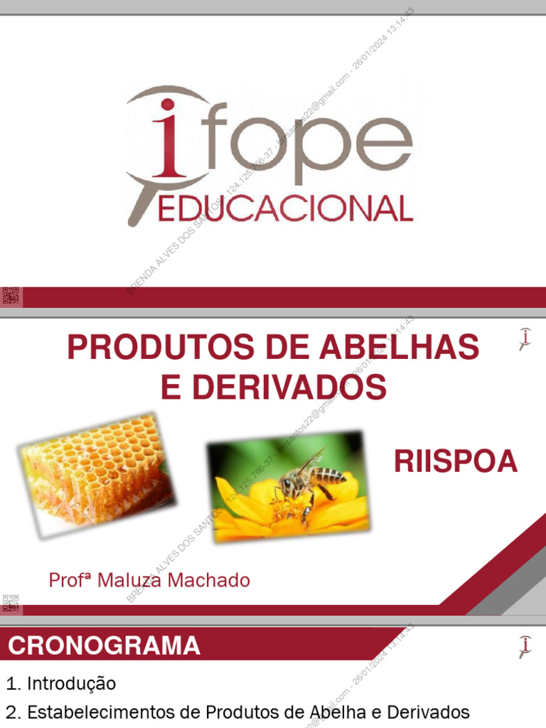 Produtos e Derivados de Abelhas PDF 1 Slides | PDF