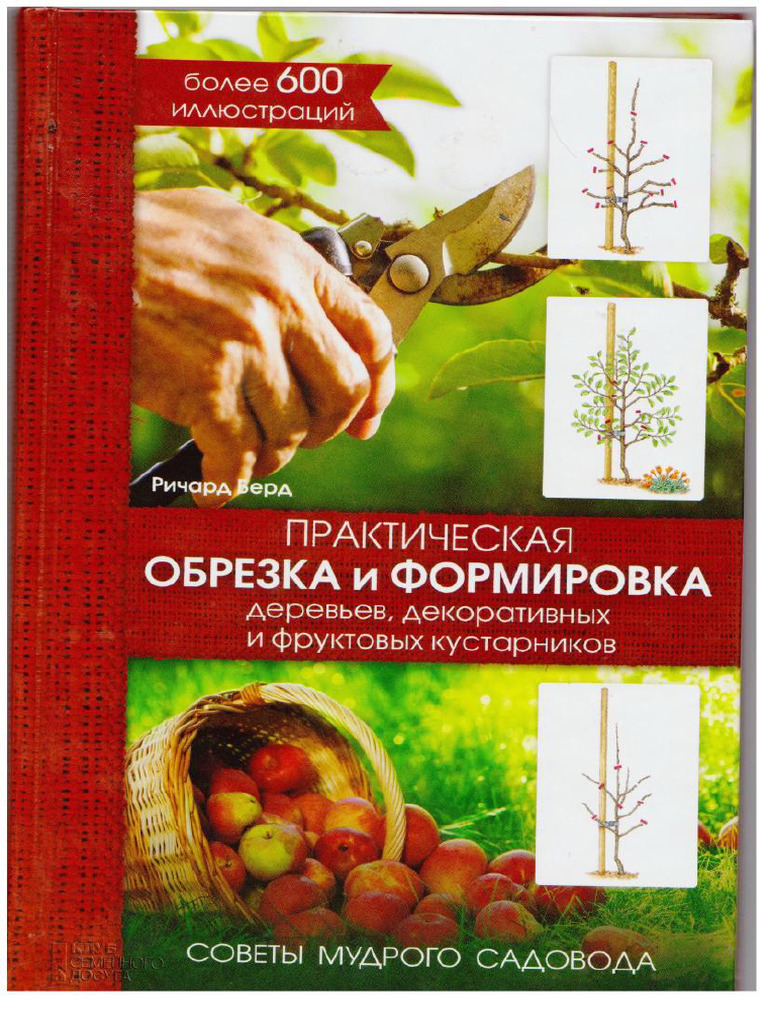 Berd Richard Prakticheskaia Obrezka I Formirovka Derevev Dek | PDF