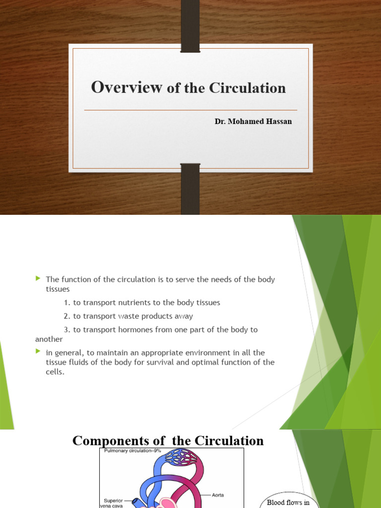 Overview of The Circulation | PDF