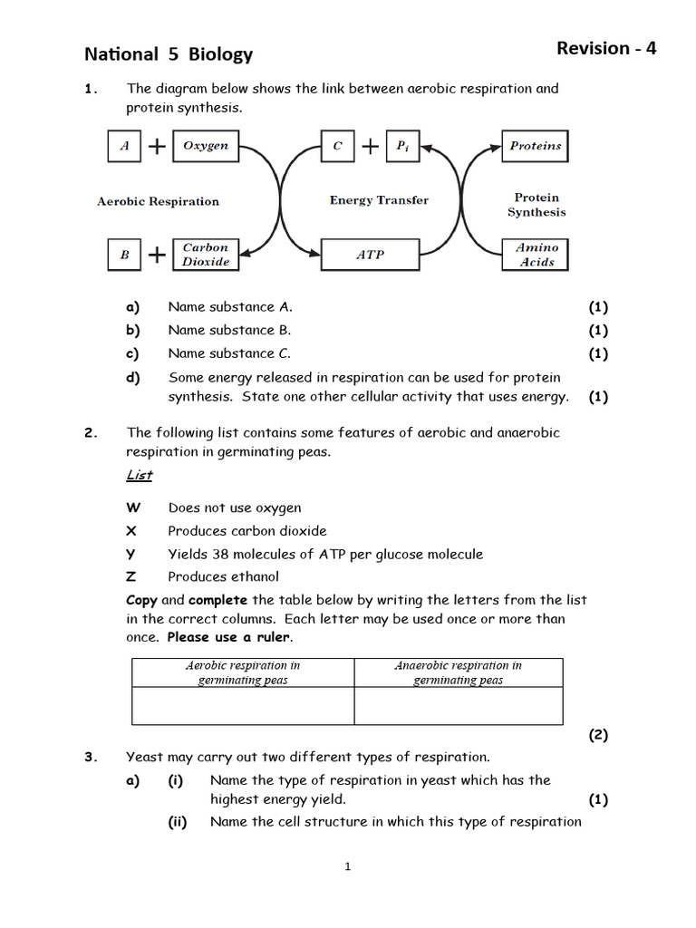 BOOKLET Science Exam Questions | PDF | Cellular Respiration | Chemistry