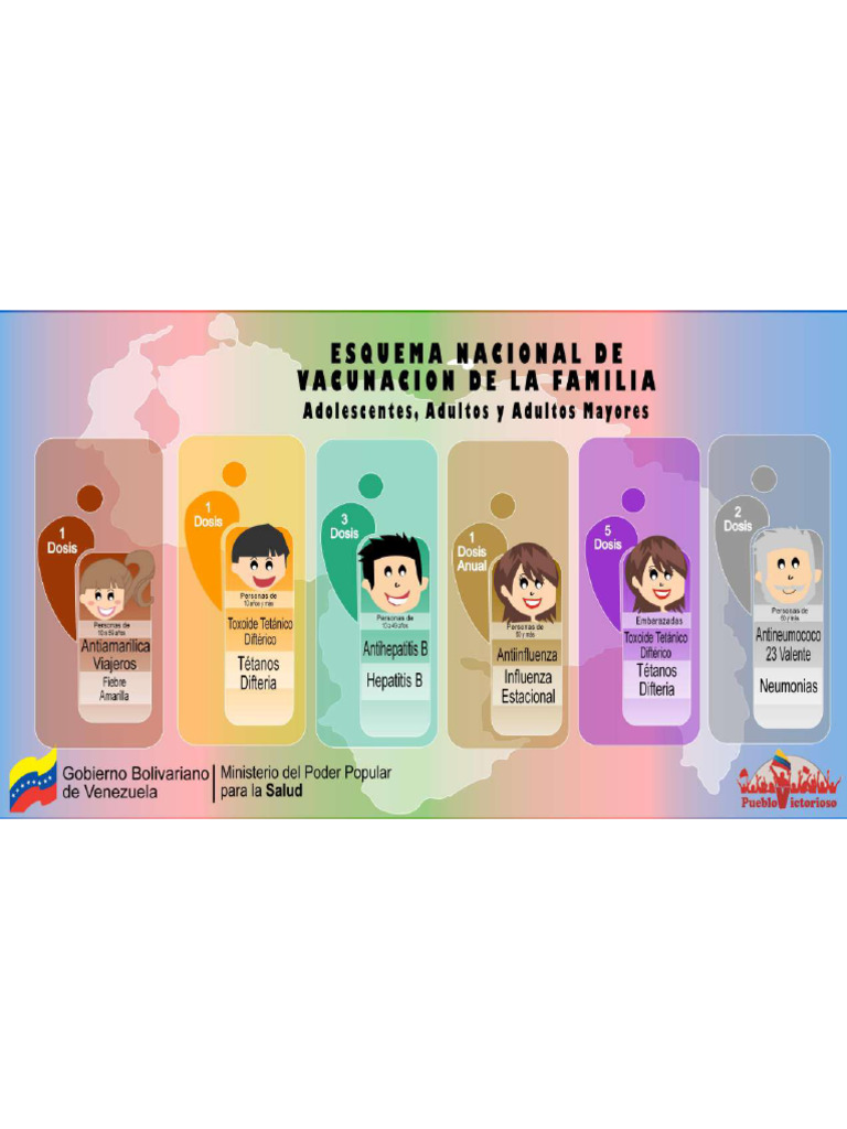 Esquema De Vacunación Adolescentes Adultos Y Adultos Mayores Pdf