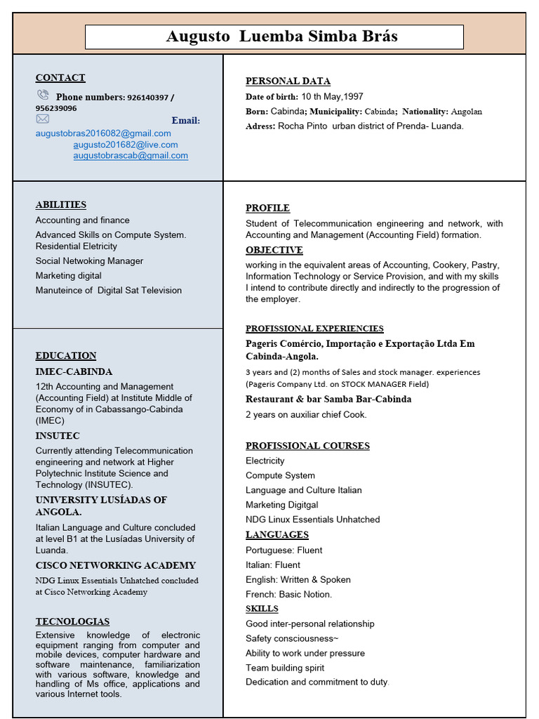 Augusto CV EN | PDF | Angola | Computing