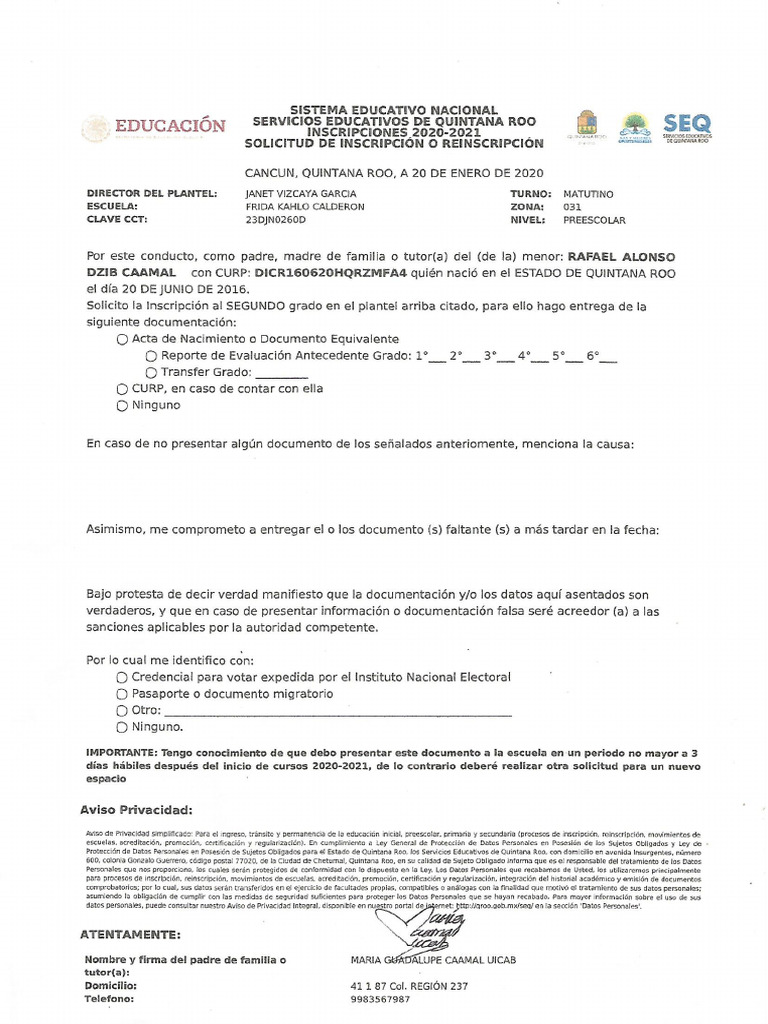 Scan Ficha de Ins | PDF