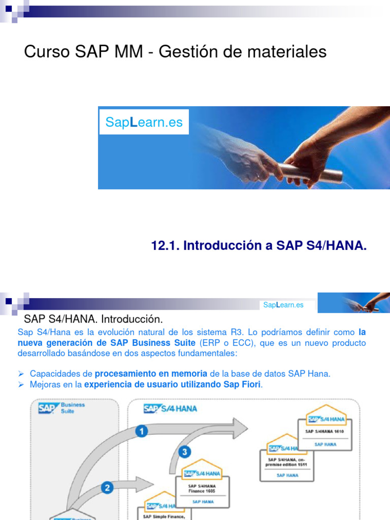 12.1 - Introducción A SAP S4 HANA | PDF | Bases de datos | Planificación de recursos empresariales