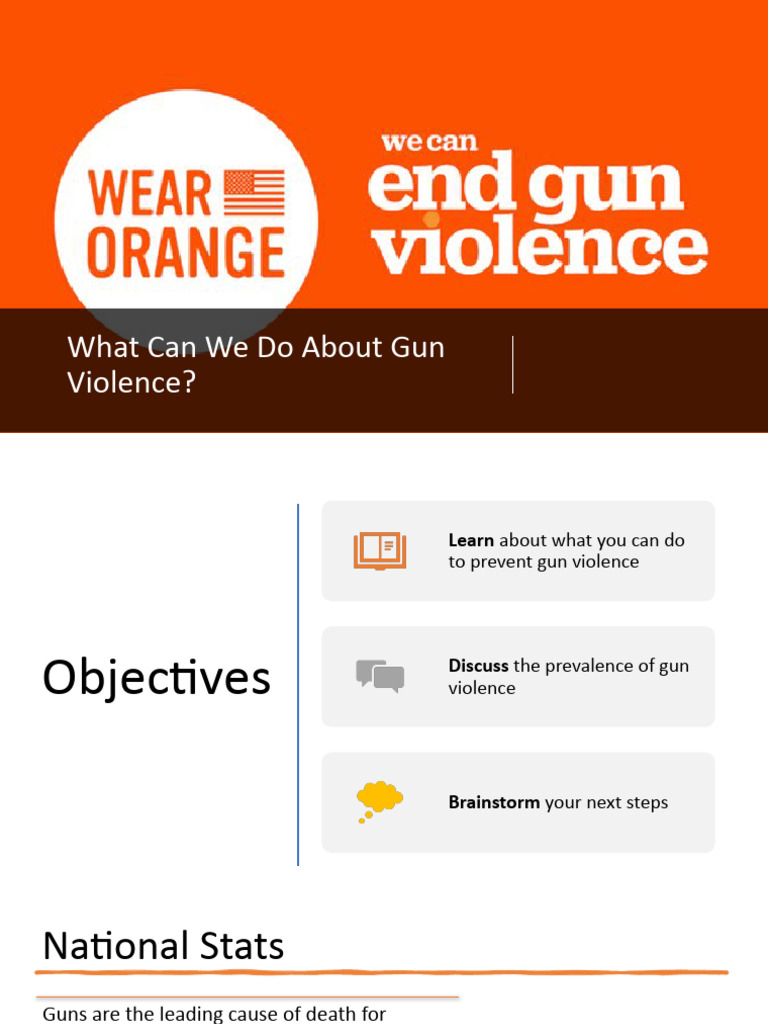 What Can We Do About Gun Violence? | PDF