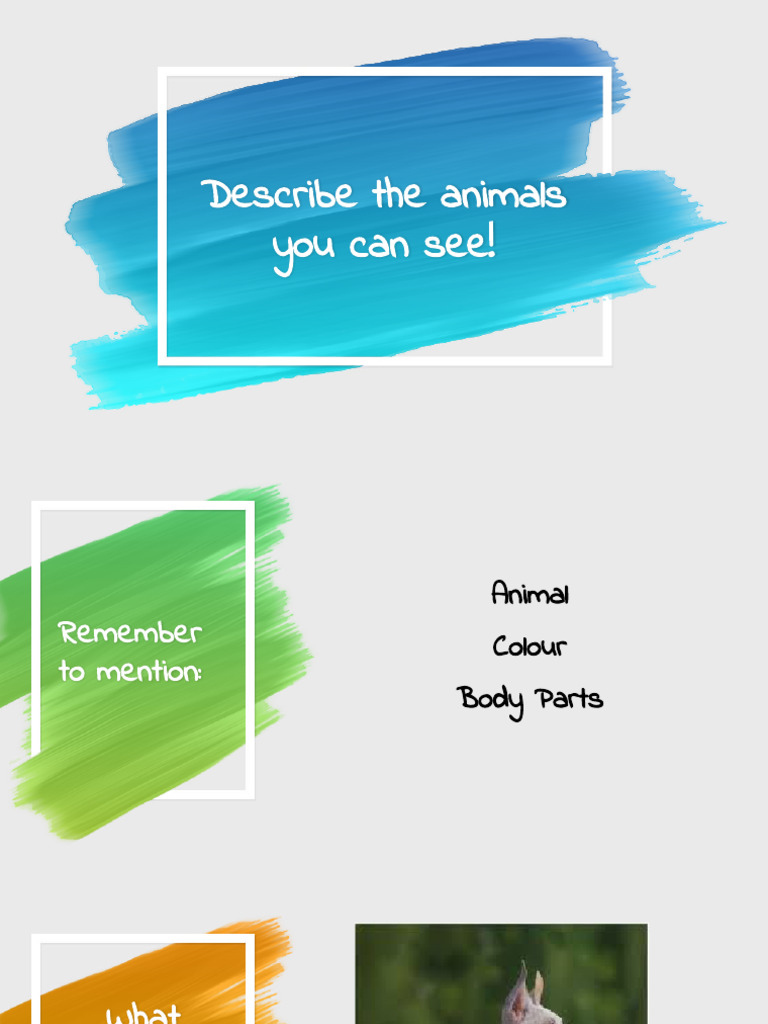 Animal Description | PDF