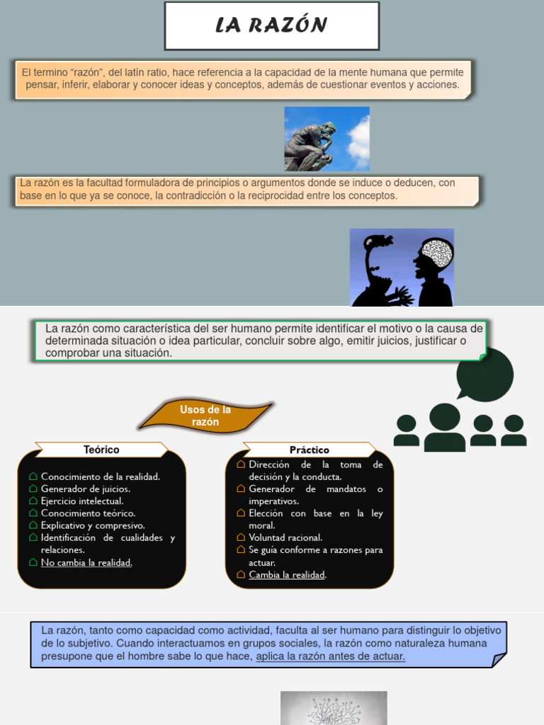 La Importancia de la Razón en el Ser Humano | PDF
