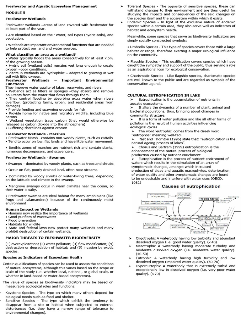 Marine-Final Reviewer 45652 | PDF | Eutrophication | Wetland