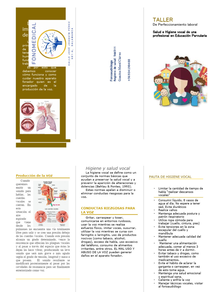La Importancia de La Voz | PDF | Sonido | Higiene