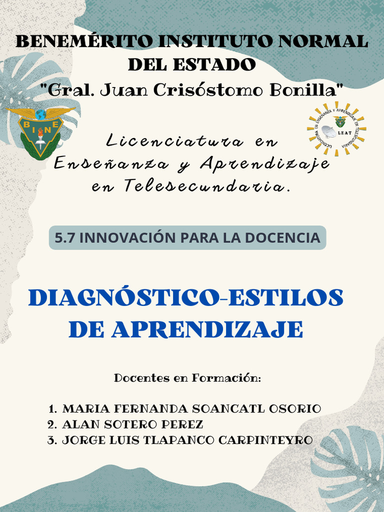 Evaluación Diagnóstica Estilos de Aprendizaje-1 | PDF | Aprendizaje | Cognición