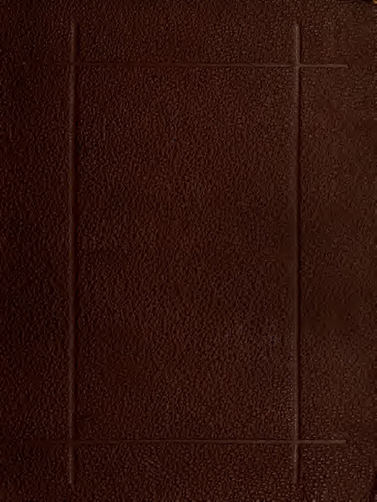 A Homiletical Commentary On The Book of Daniel - With Copious Notes and ...