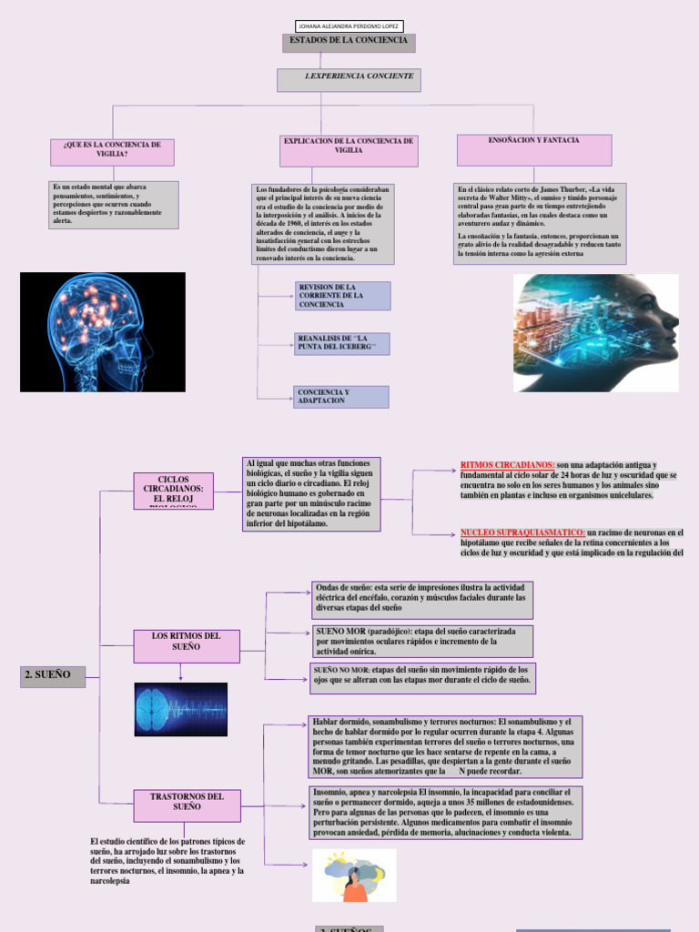 Mapa Conceptual Estados de La Conciencia | PDF | Sueño | Drogas