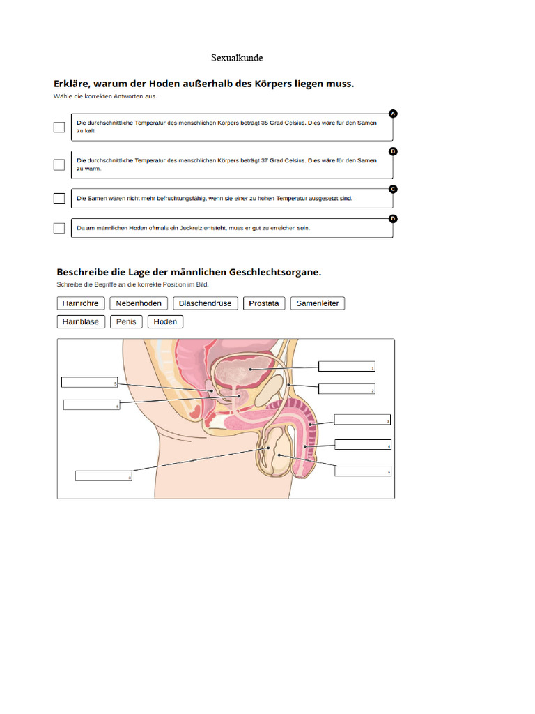 Fragen Sexualkunde Pdf