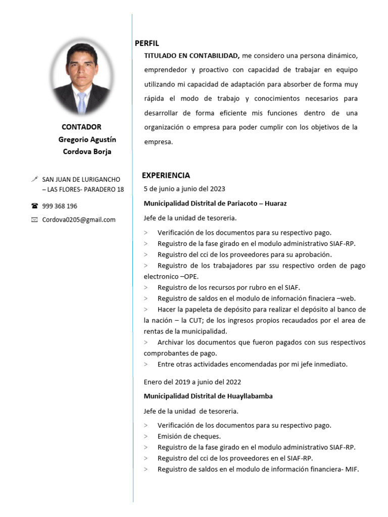 Cv Agustin Documentado | PDF | Microsoft Excel | acceso Microsoft