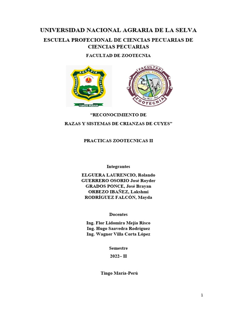 Informe Pract. Cuyes | PDF | Conejillo de indias | Pasto