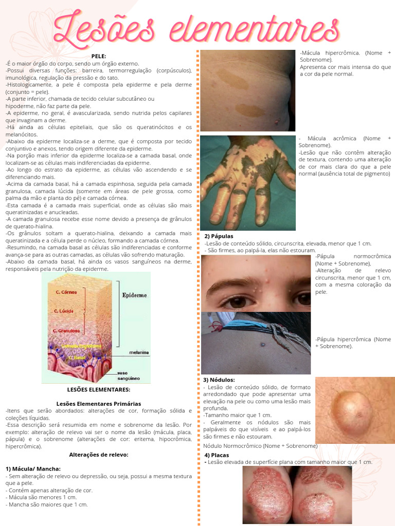 Lesoes Elementares | PDF | Epiderme | Pele