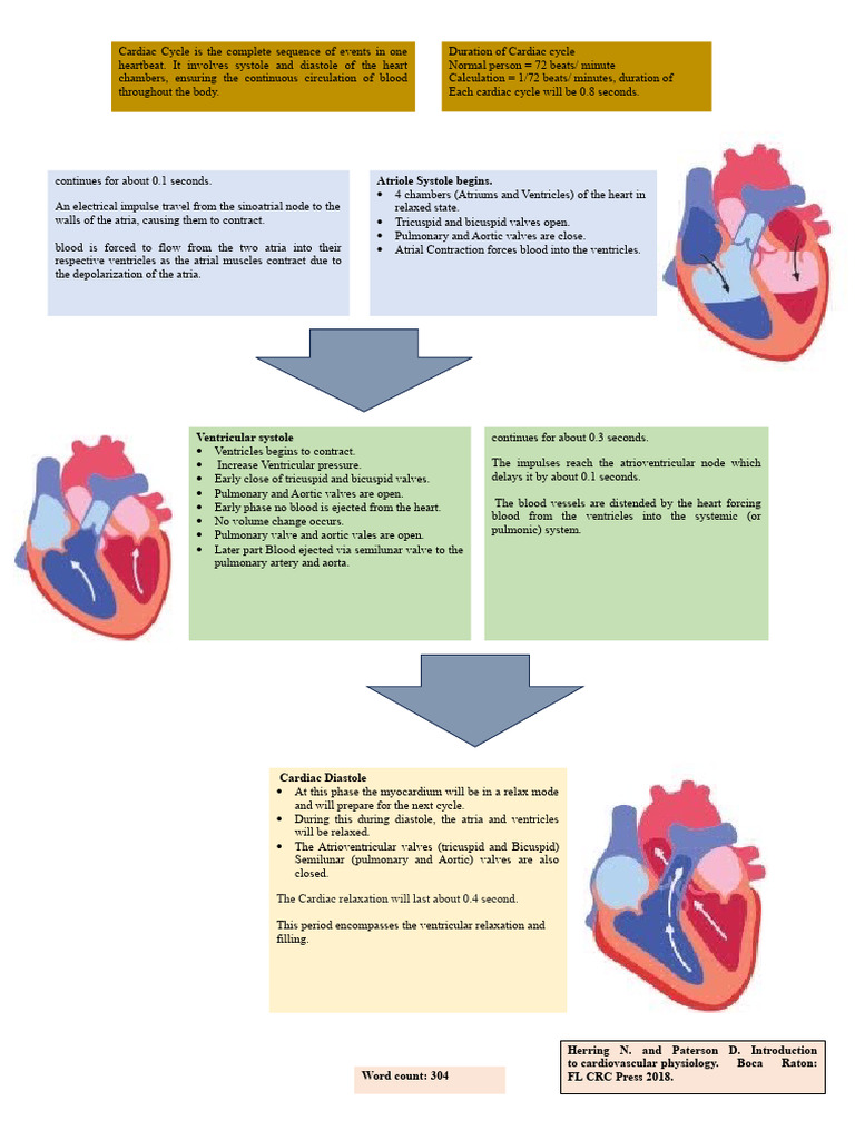 Cardiac Cycle | PDF | Heart Valve | Ventricle (Heart)