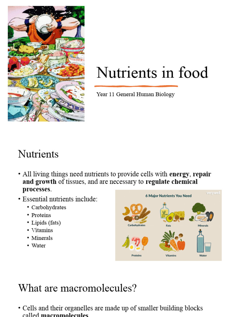Nutrients in Food - Macromolecules | PDF | Macromolecules | Carbohydrates