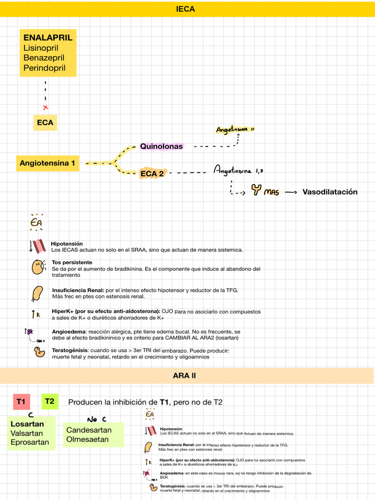 Efectos y Mecanismos de IECAs y ARA2 | PDF