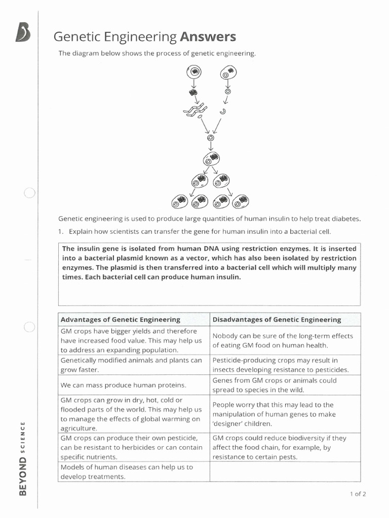 Genetic Engineering Answers | PDF | Genetic Engineering | Genetically ...