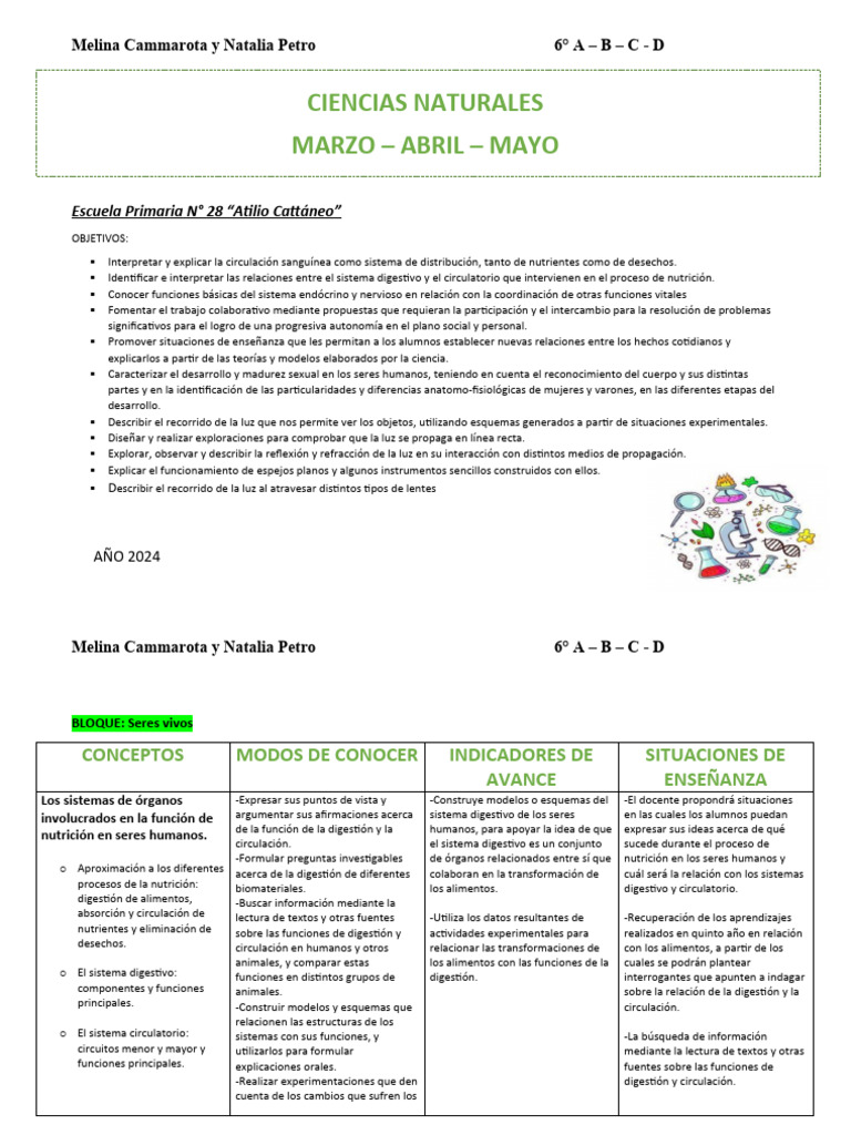 1er Trimestre Cs Nat 6to 2024 | PDF | Digestión | Ligero