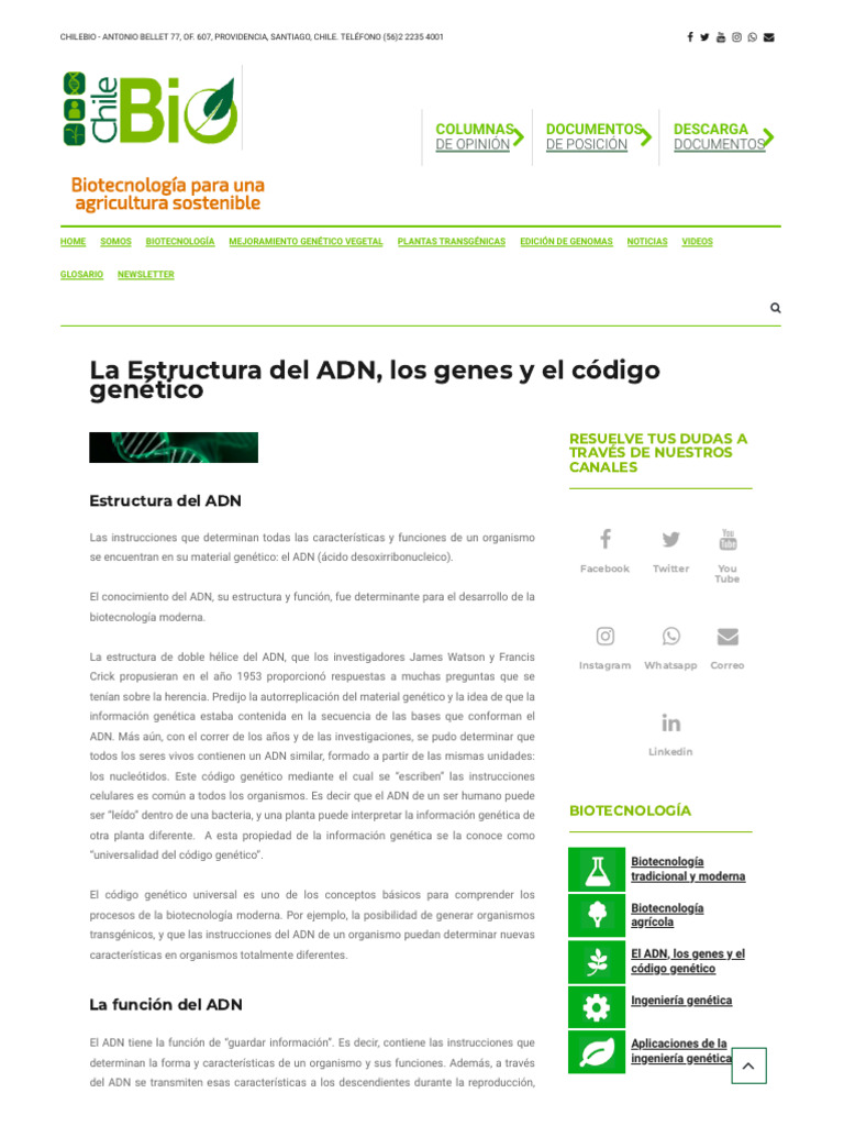 La Estructura Del ADN, Los Genes y El Código Genético - ChileBIO | PDF | Codigo genetico | Adn