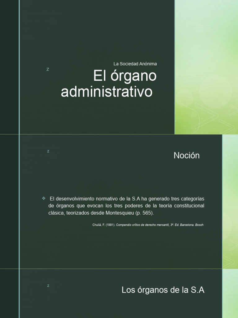 Estructura y Funciones de la S.A. | PDF | Junta Directiva | Adopción