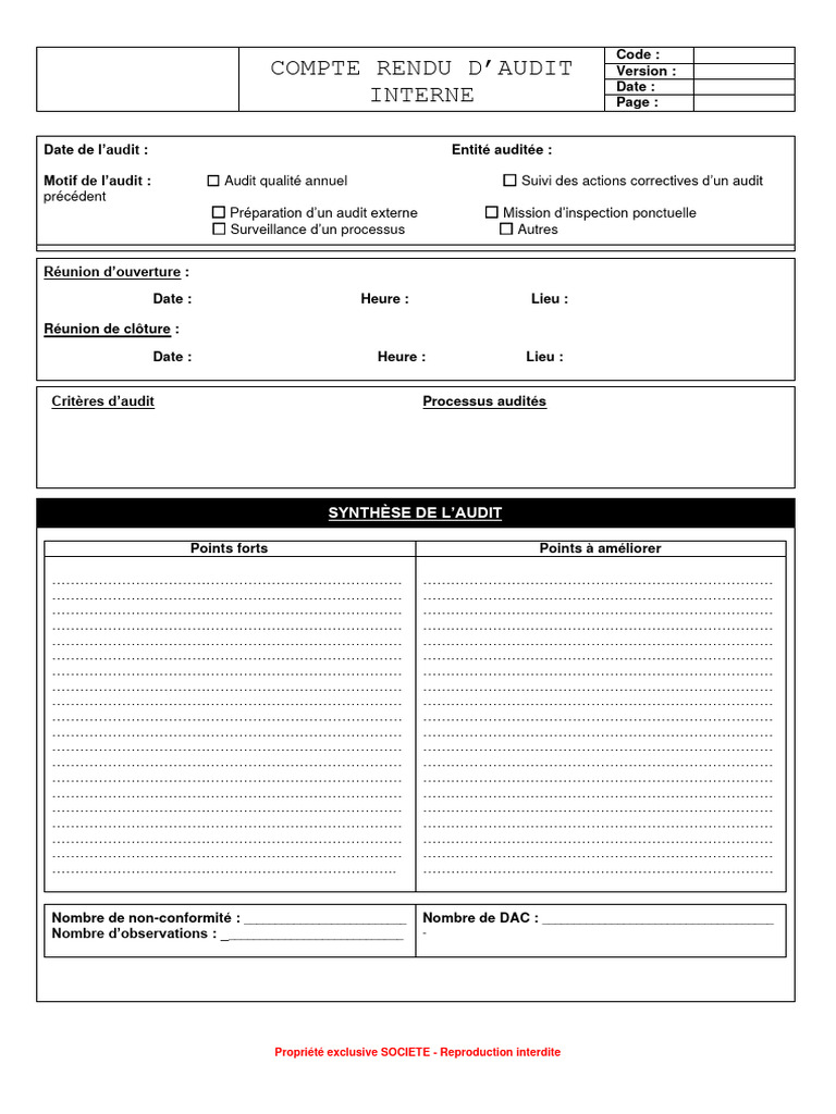 Modele de Rapport D'audit Interne | PDF Modele de Rapport D'audit Interne | PDF