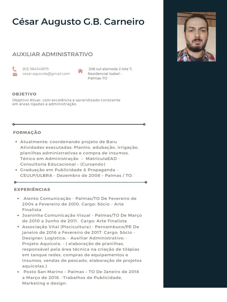 Currículo de Auxiliar Administrativo | PDF | Carreira e Crescimento ...