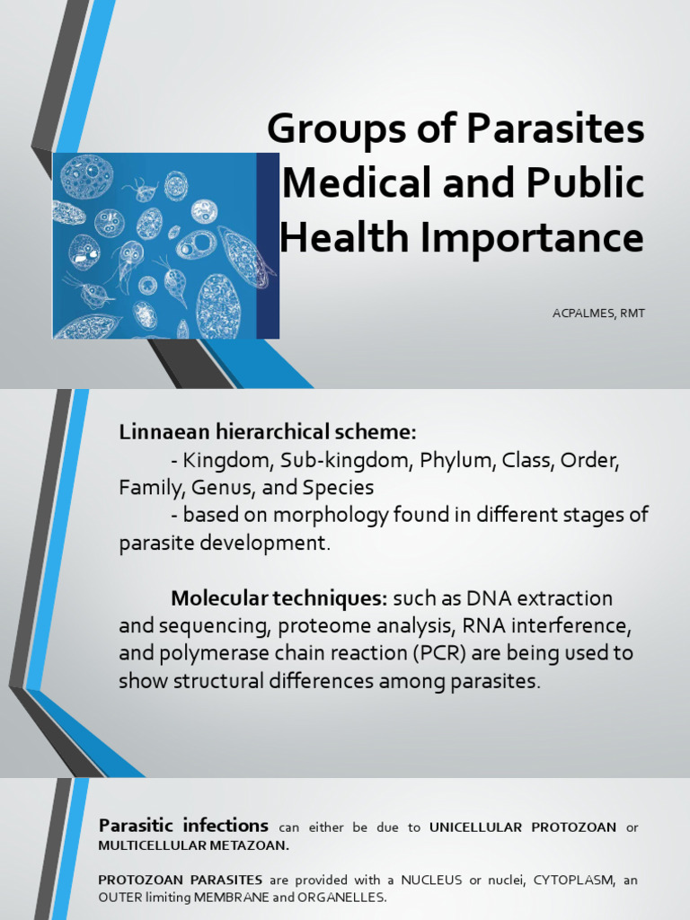 Groups of Parasites With Medical and Public Health | PDF