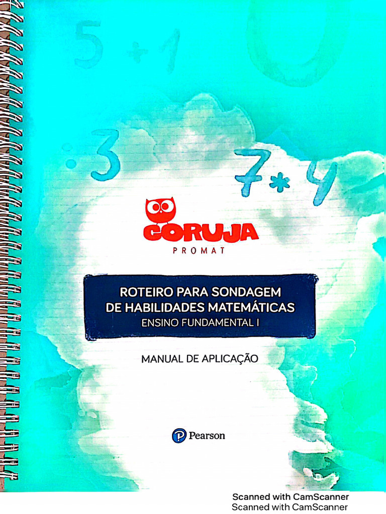Roteiro Coruja Promat | PDF