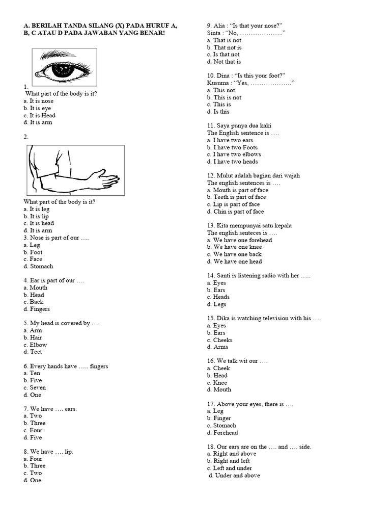 Soal Human Body Baru | PDF | Hand | Anatomy
