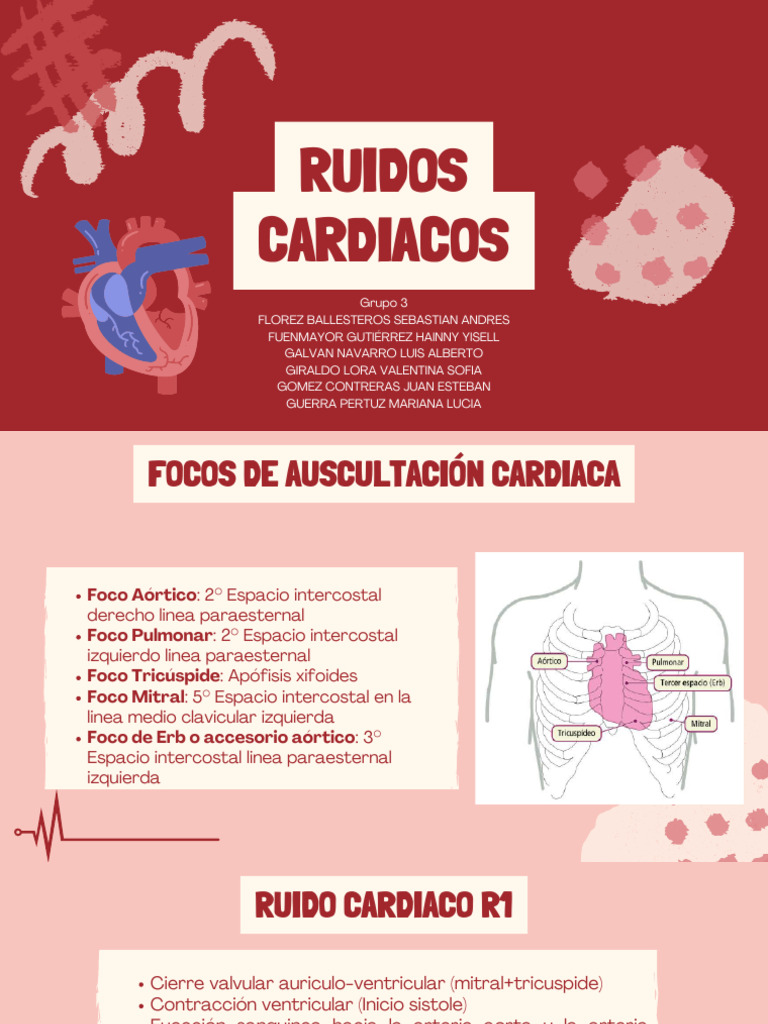 Ruidos Cardiacos | PDF | Corazón | Ventrículo (corazón)