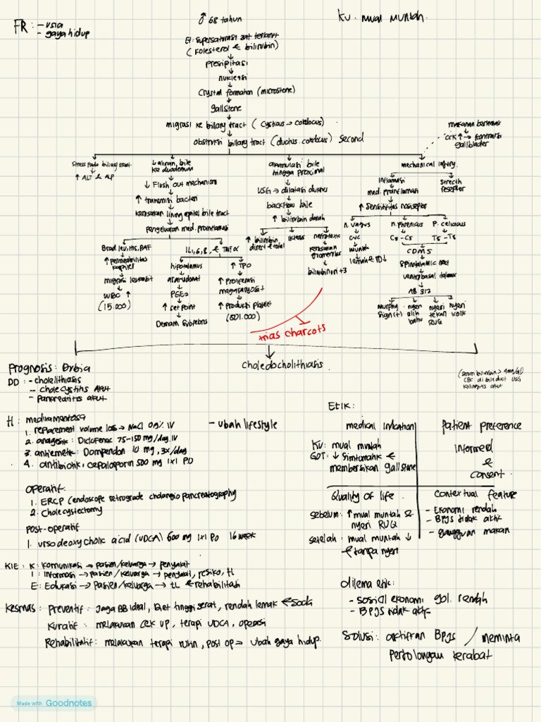 Cholecystitis and Choledocholithiasis Overview | PDF | Gallbladder ...