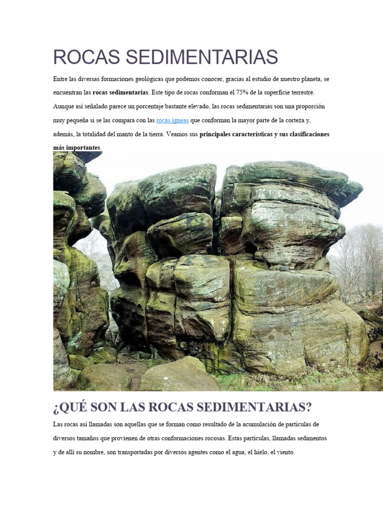 Guía de Rocas Sedimentarias | PDF | Roca sedimentaria | Roca (geología)