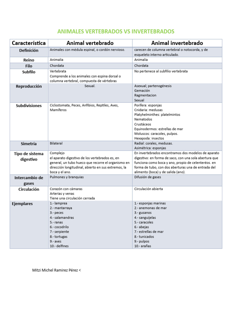 Animales Vertebrados VS Invertebrados | PDF | Vertebrados | Invertebrado