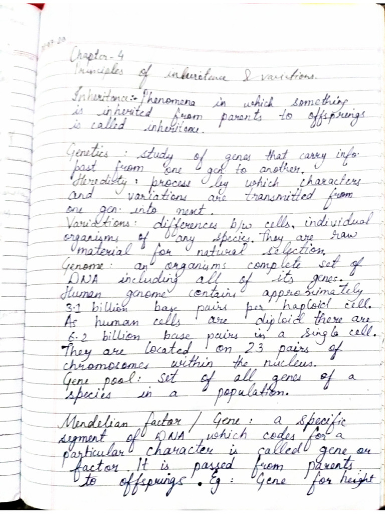 Genetics Handwritten Notes Class 12 | PDF