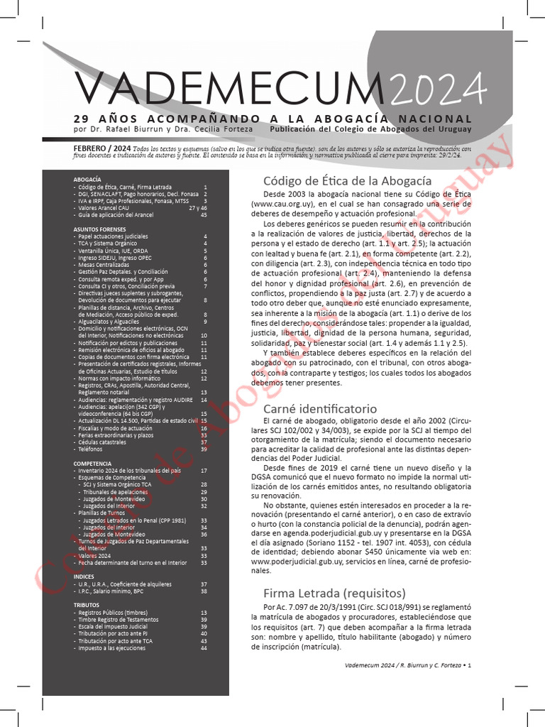 Vademécum 2024 | Descargar gratis PDF | Impuestos | Justicia
