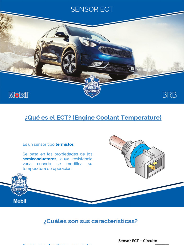 Sensor Ect Bev7 Lem | PDF | Ingenieria Eléctrica | Ingeniería mecánica