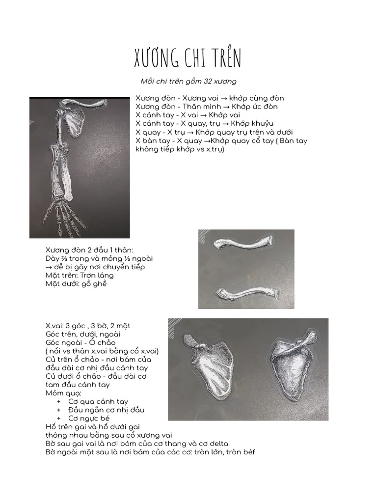 T NG H P Chi Trên | PDF