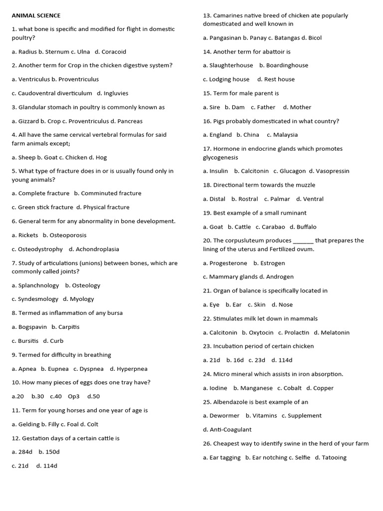 Exam ANIMALSCIENCE | PDF | Beef | Cattle