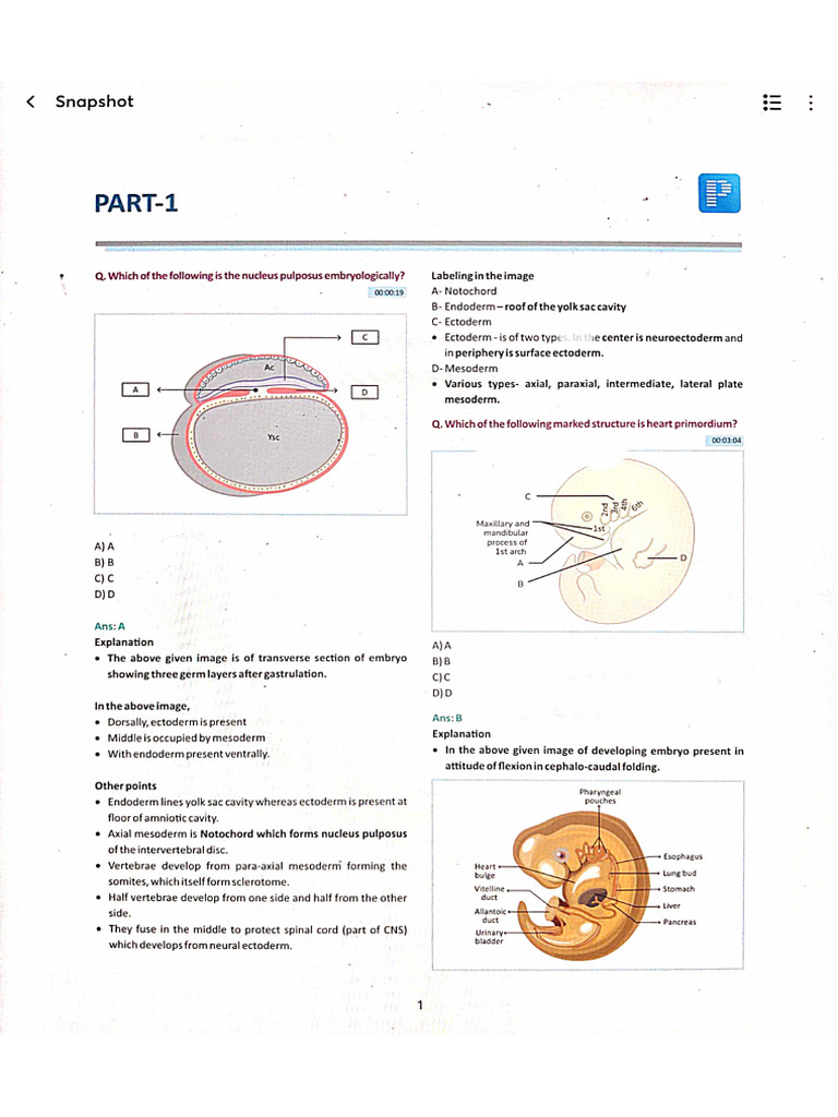 Anat Snapshots (1) | PDF