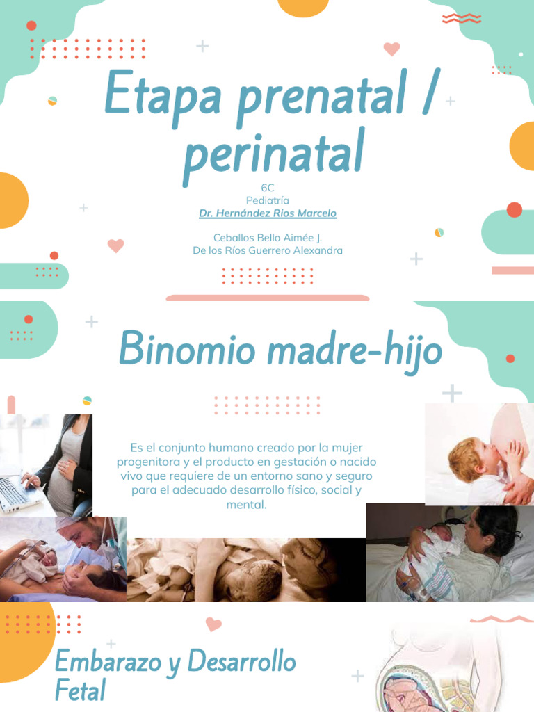 Etapa Perinatal - Prenatal | PDF | Parto | Hipoxia (médica)