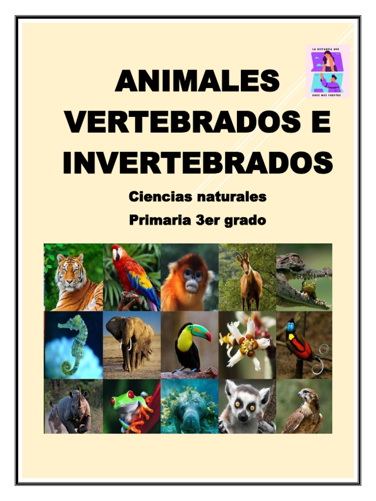 Ciencias Naturales - Animales Vertebrados e Invertebrados | PDF ...