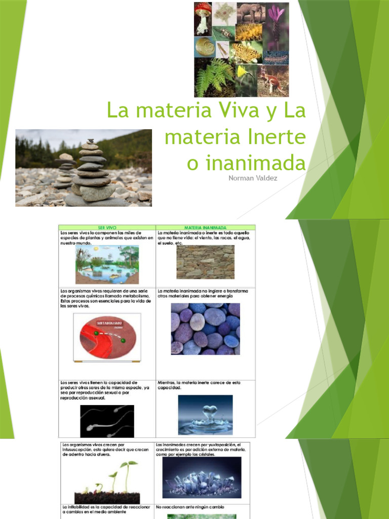 Tema 2 La Materia Viva y La Materia Inerte | PDF | Biomoléculas ...