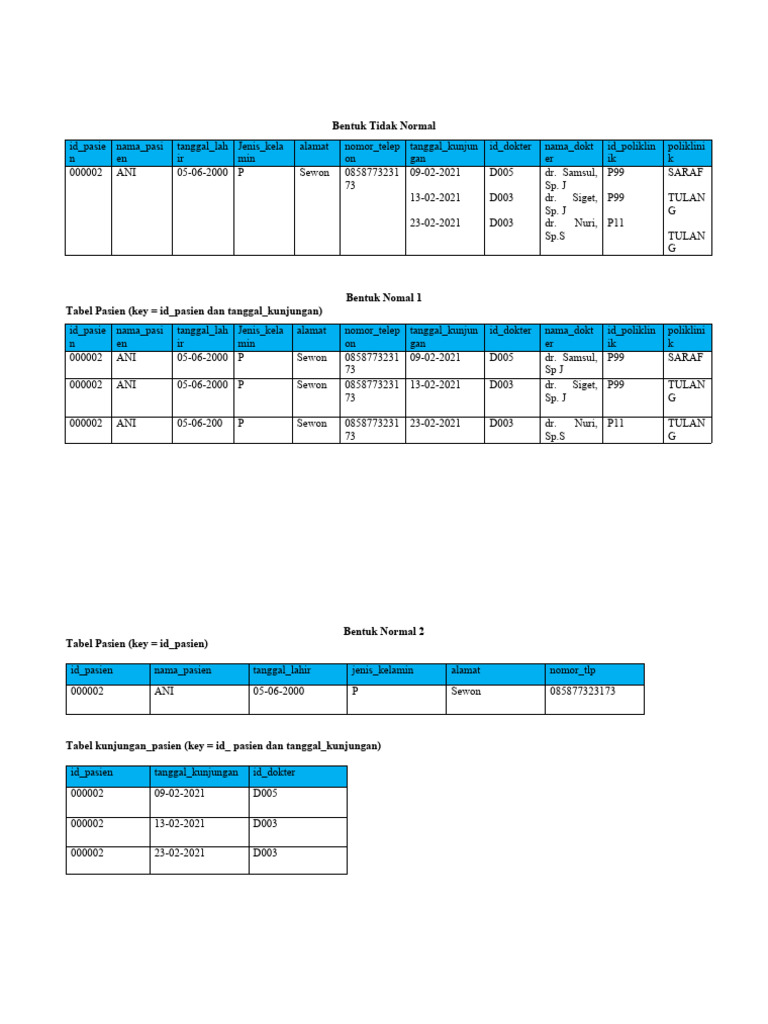 Basis Data Kunjungan Pasien | PDF