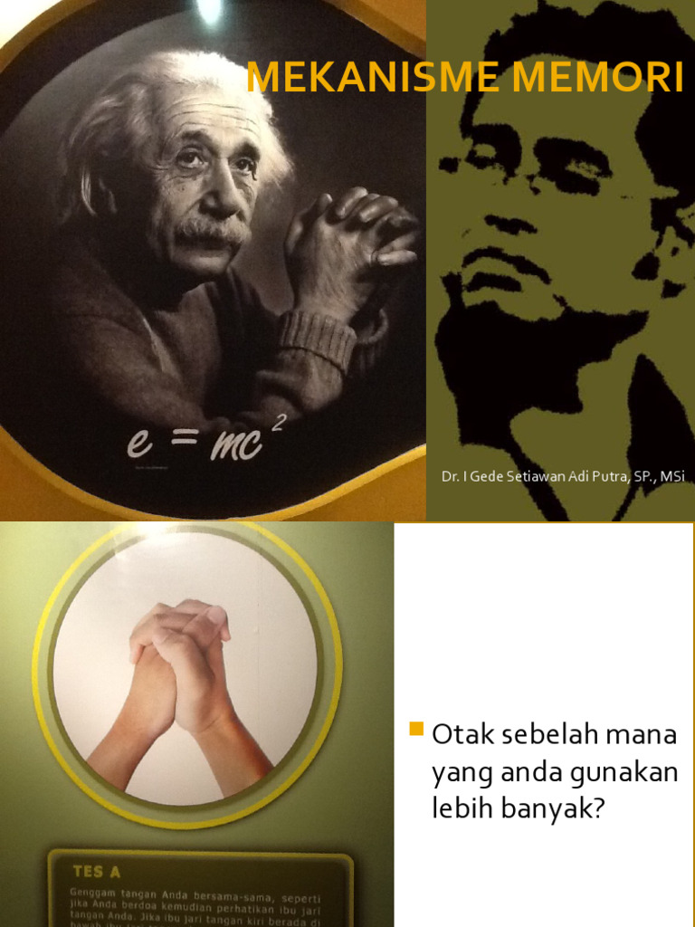 Teori Memori dan Cara Berpikir | PDF | Sains & Matematika | Filsafat
