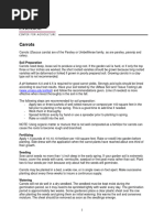 Carrots | PDF | Carrot | Agriculture